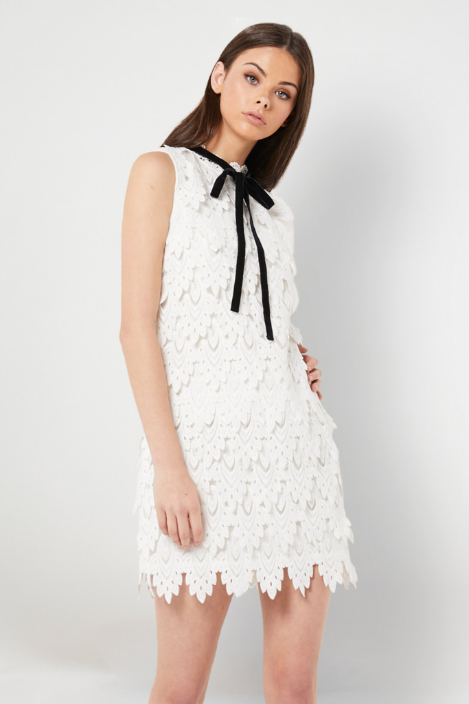 Rent A Dress Luxury Designer Gown And Dress Rental Service